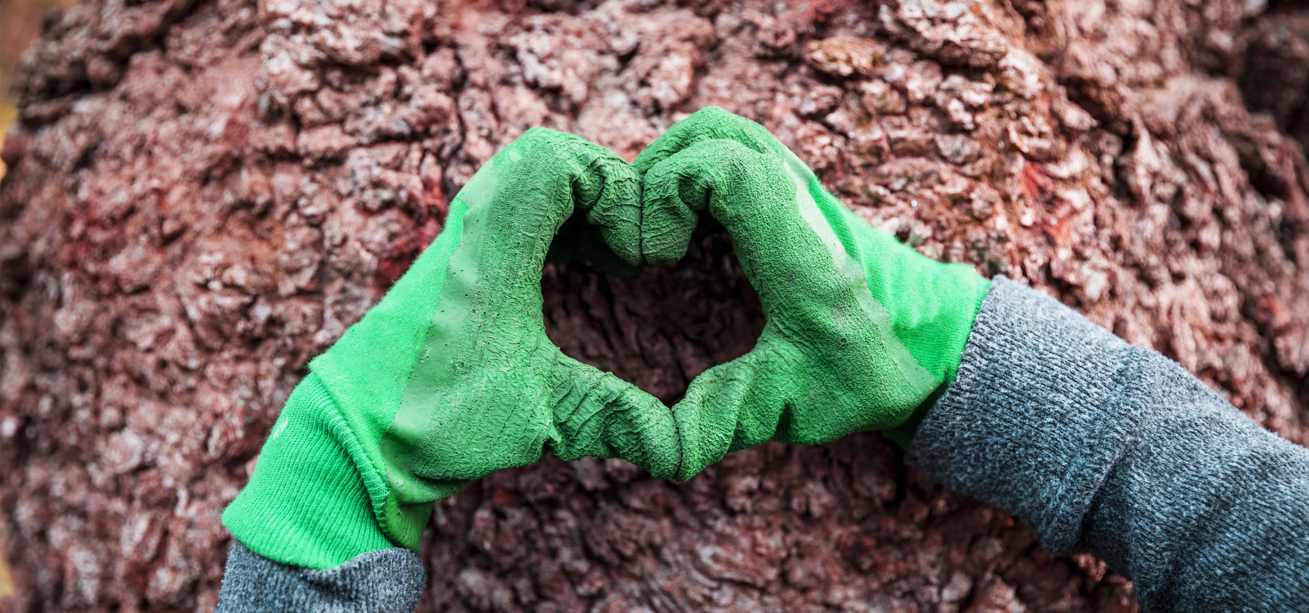 Cognia's Community Impact | Making a Difference in Education